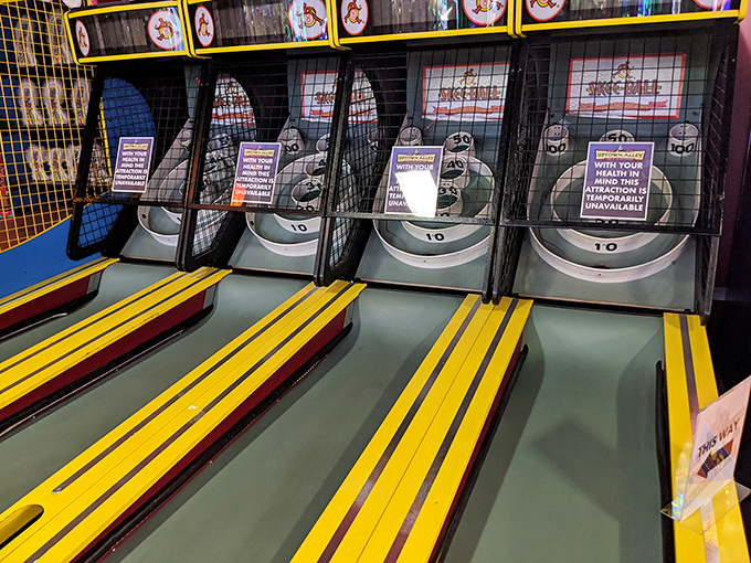 Classic arcade joy! These Skee-Ball lanes deliver the timeless thrill of rolling for points and that satisfying ticket stream after a perfect score.
