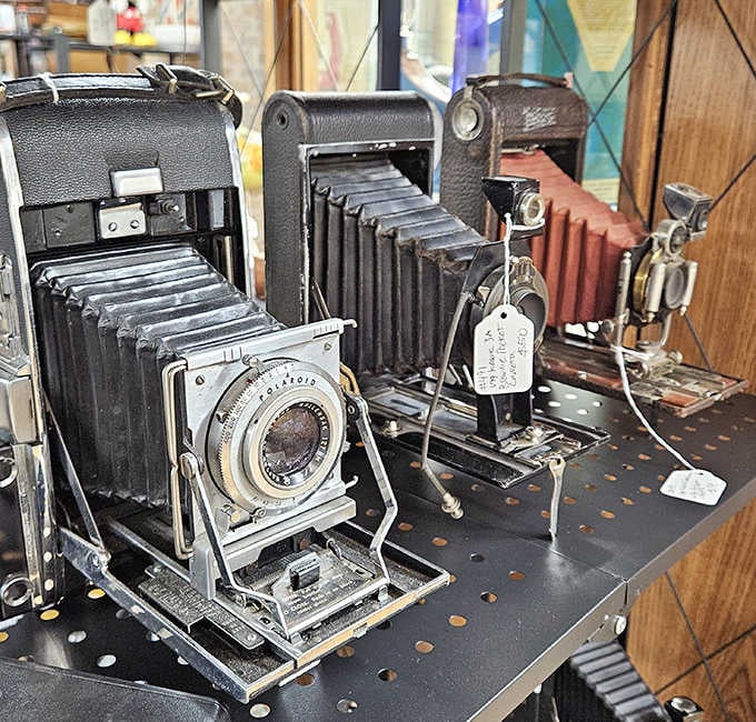 These cameras didn't need filters or Wi-Fi &ndash; just skill and patience, capturing memories on actual film when "storage" meant photo albums.