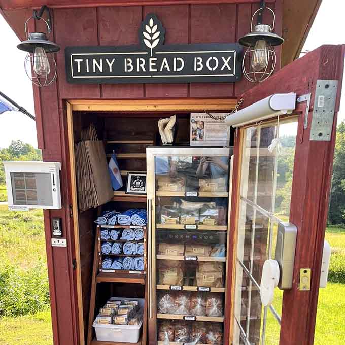 The Tiny Bread Box interior reveals shelves of temptation and merchandise, like a treasure chest that happens to smell amazing.