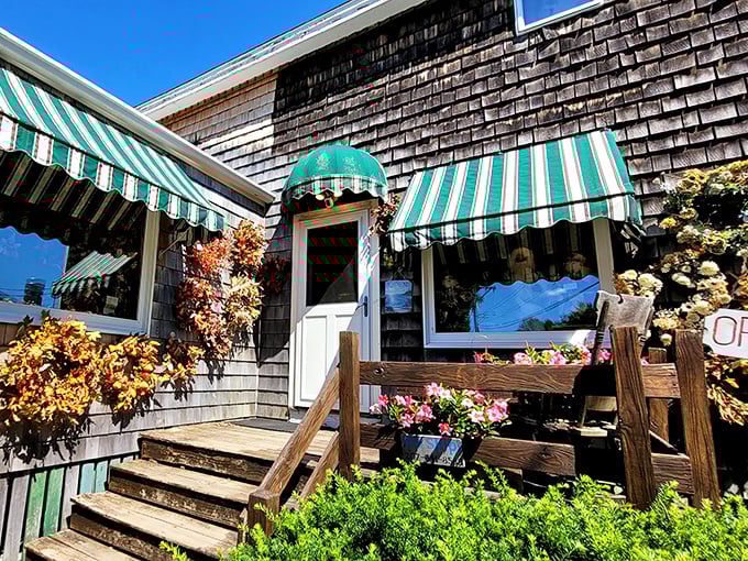 Coastal charm in full bloom &ndash; weathered shingles and bright flowers create that quintessential Maine aesthetic that's impossible to resist.