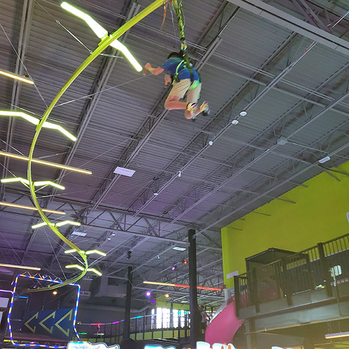 The Sky Rider sends adventurers soaring through the rafters, offering a bird's-eye perspective that turns spectators into participants.