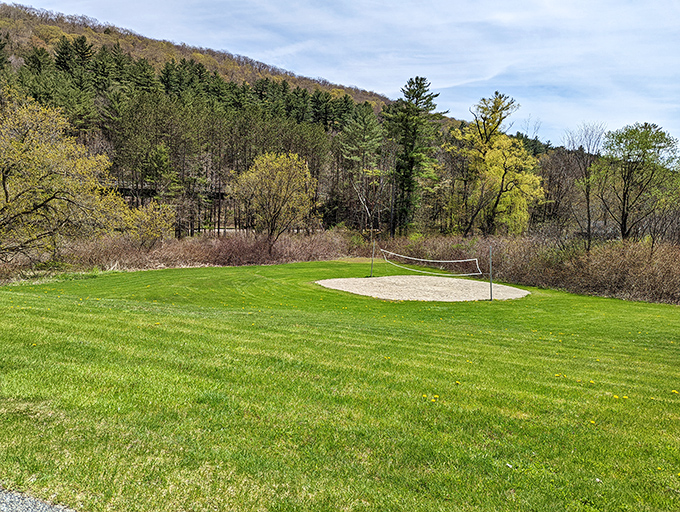 The volleyball court awaits family competitions where "professional" technique takes a backseat to laughter and playful trash talk.