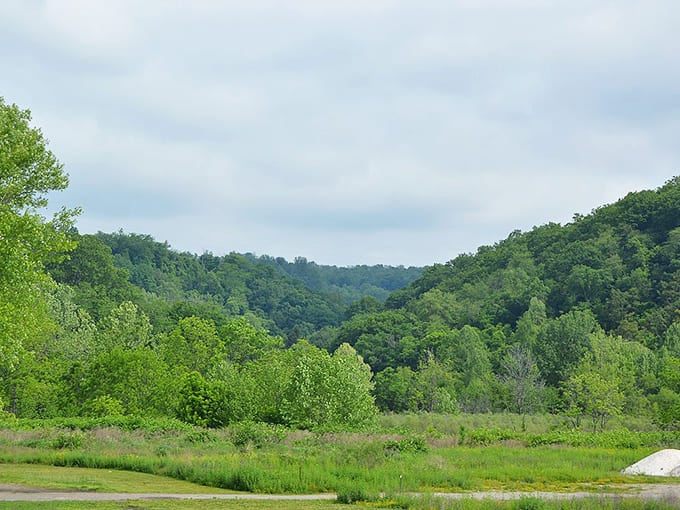 Wooded hills embrace Rayland in a verdant hug, providing a stunning natural backdrop that changes dramatically with each passing season.