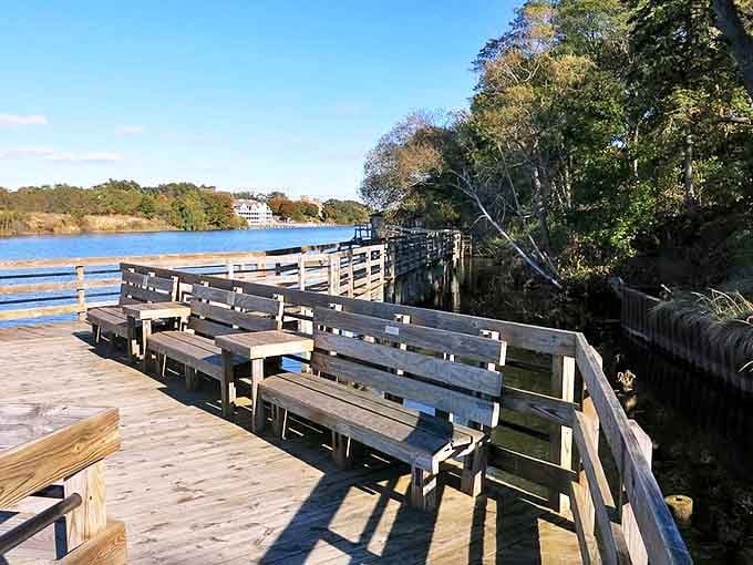 Weathered wooden benches offer front-row seats to nature's ever-changing river show, perfect for contemplation or conversation with a view.