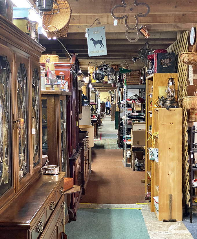 Vintage furniture and collectibles line the pathways, creating a museum-like experience where everything comes with a price tag and a story.