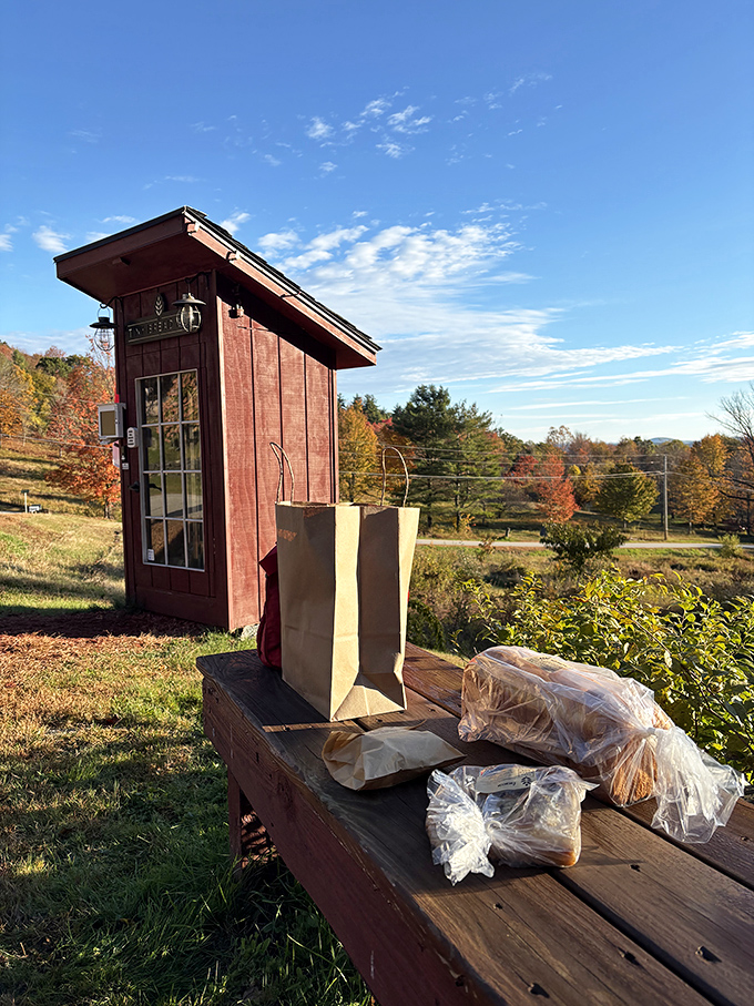 Your haul from the Tiny Bread Box awaits on the rustic bench &ndash; the hardest part is deciding what to sample first.