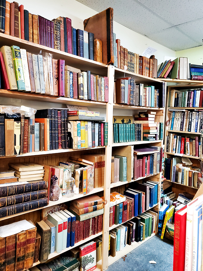 Literary treasures line these shelves, from first editions to vintage paperbacks whose lurid covers tell stories before you've read a single word.