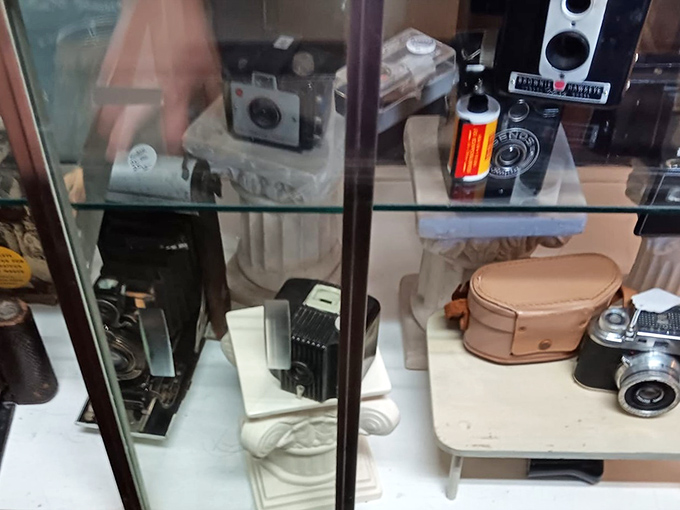 Cameras: A collection of vintage cameras that captured countless memories. Before we took 27 photos of our lunch, these beauties made every shot count.