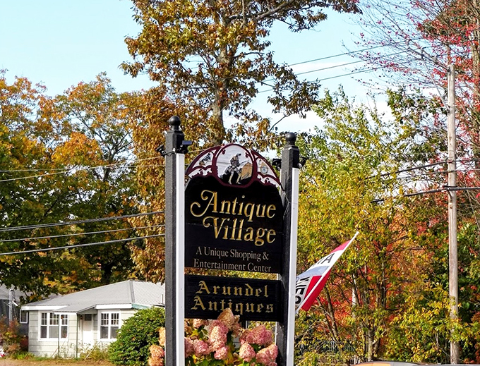 The gateway to antiquing adventure! This sign promises a unique shopping experience that's anything but ancient history.