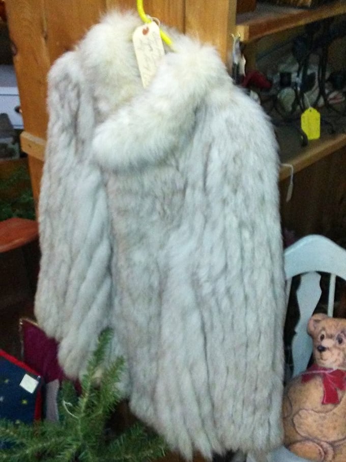 A pristine fox fur coat from another era hangs in silent elegance, a controversial beauty from times when fashion followed different rules.