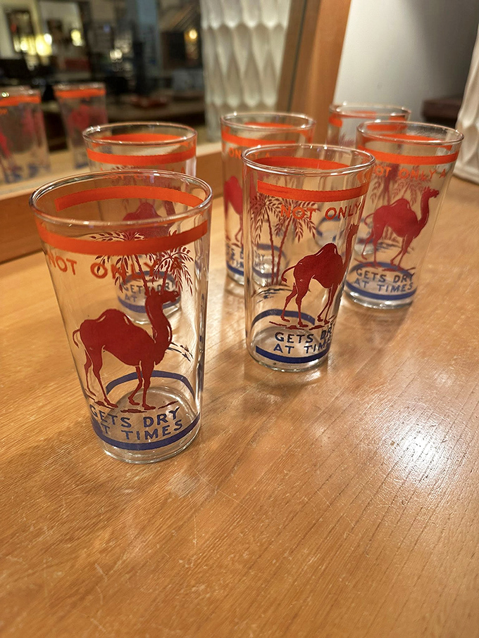 "Gets Dry at Times" – these camel-adorned vintage glasses deliver both refreshment and wry humor with every sip.