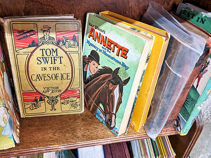 Vintage hardcovers with faded spines reveal beloved characters from another era &ndash; Tom Swift and Annette ready for new adventures with fresh readers.