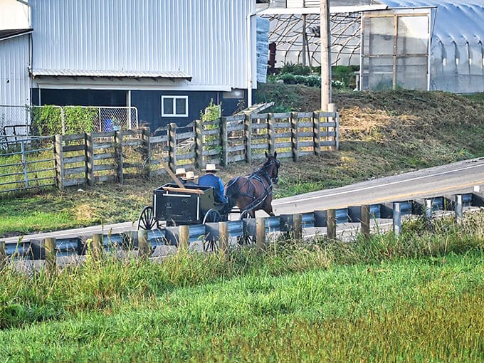 The clip-clop of hooves announces the approach of an Amish buggy &ndash; not a quaint tourist attraction but a practical everyday vehicle for many residents.