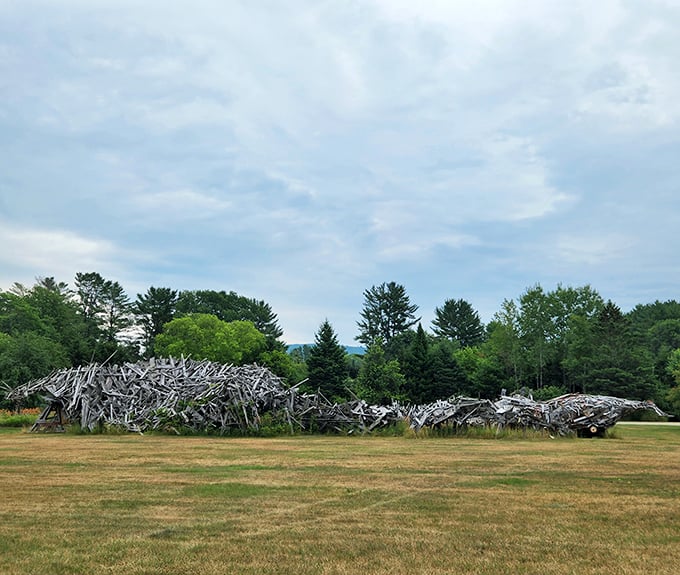 The dinosaur structures sprawl across the field, creating a prehistoric playground that changes with each viewing angle.