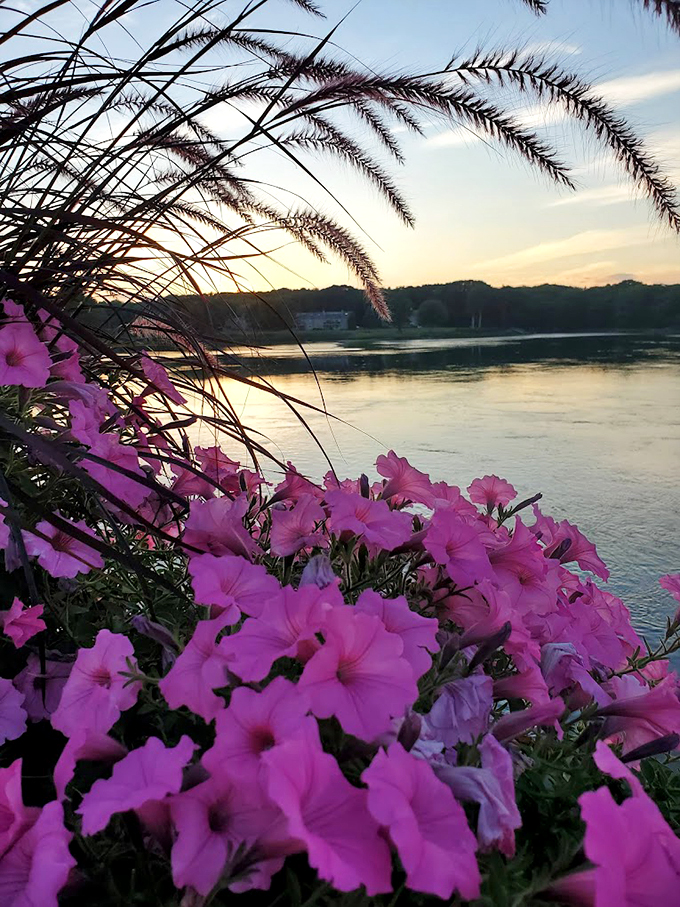 Mother Nature's screensaver, live and in person. This view's so good, it makes waiting for a table feel like a vacation.