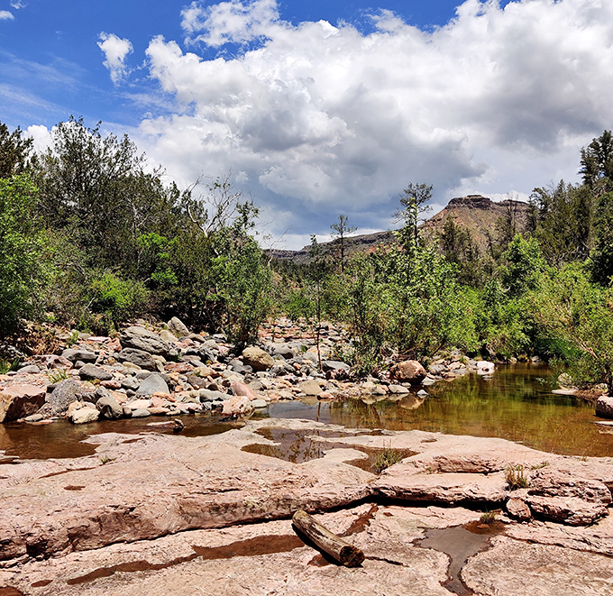 During drier seasons, the creek reveals more of its rocky character while still maintaining pools deep enough for swimming.