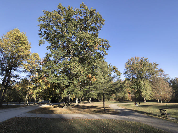 Sunlight dapples the winding paths, creating a patchwork of light and shadow that guides visitors through the castle's verdant grounds.