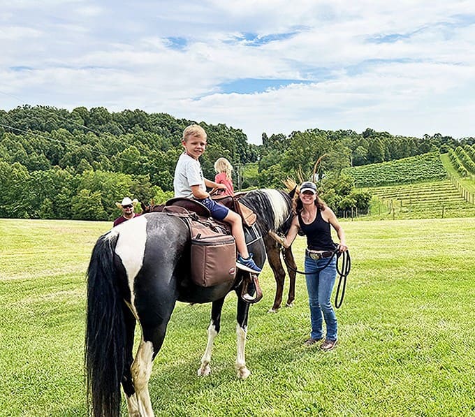 Family-friendly fun meets sophisticated sipping as children enjoy pony rides while adults appreciate the vineyard's pastoral charm and exceptional wines.