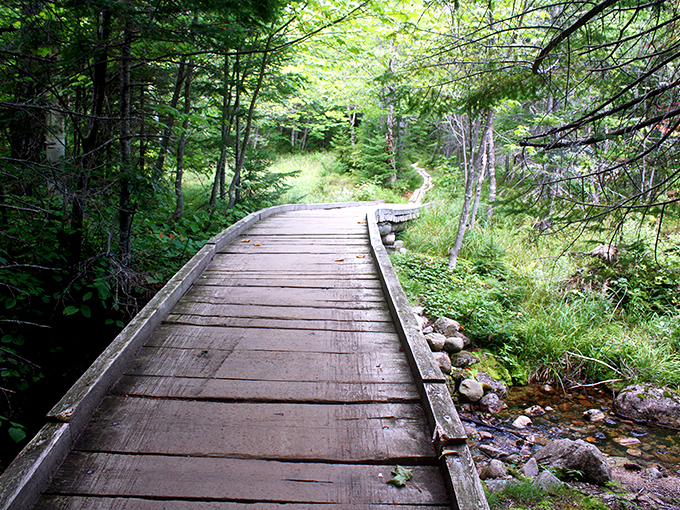 A wooden footbridge crosses one of many bubbling brooks, nature's soundtrack accompanying every step toward alpine splendor.