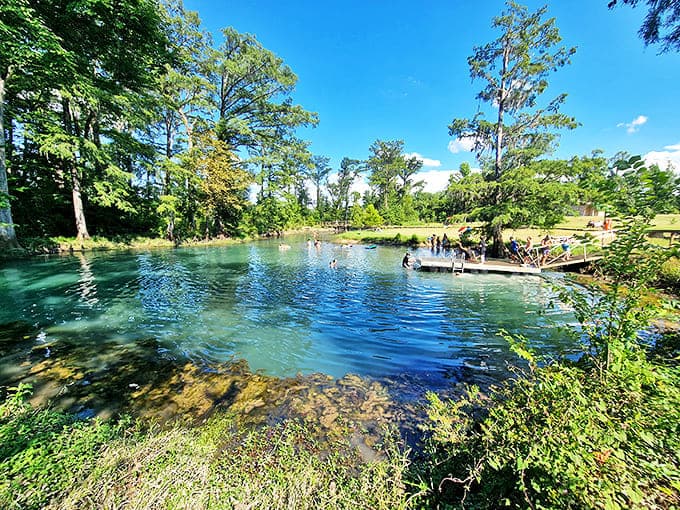 The Blue Hole Spring's crystal waters invite swimmers to cool off in a natural pool that maintains perfect temperature year-round.