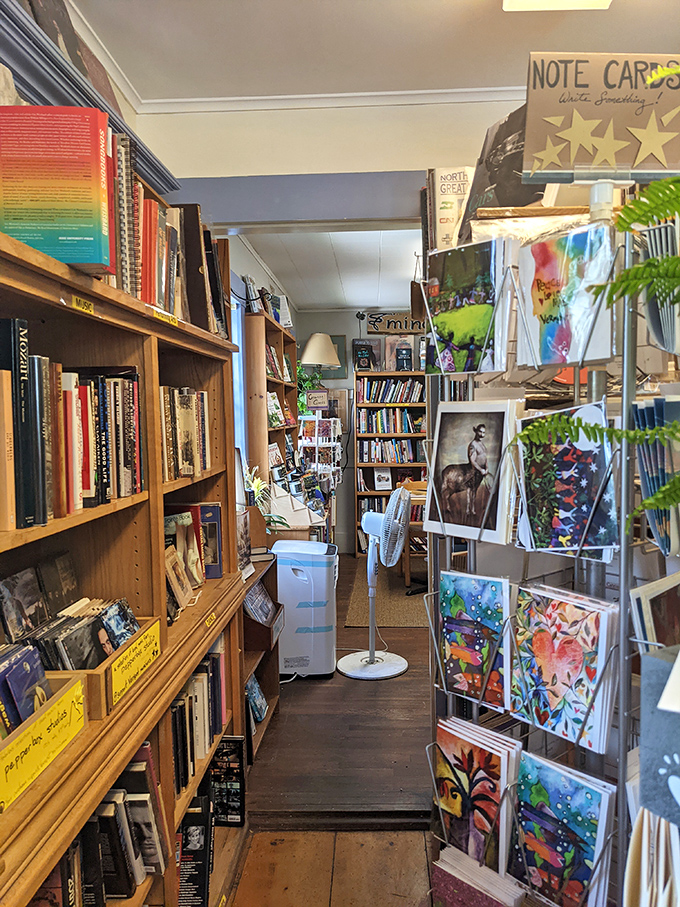 Vintage books and antique furnishings create an atmosphere where the past and present converse comfortably over cups of locally-roasted coffee.