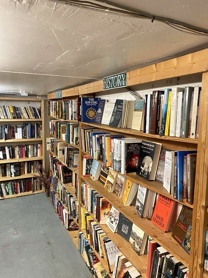 History meets mystery in the cozy basement. It's like a treasure hunt where every shelf holds potential gems.