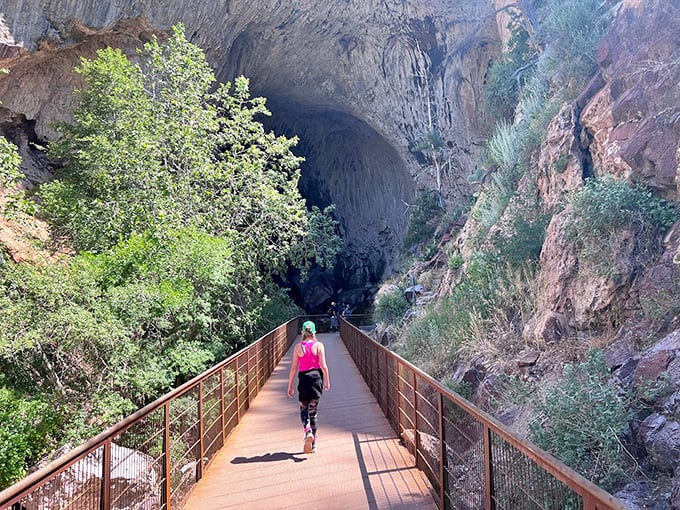 Suspended between earth and sky, this walkway offers a bird's-eye view of nature's handiwork. Who needs drones when you've got this? 
