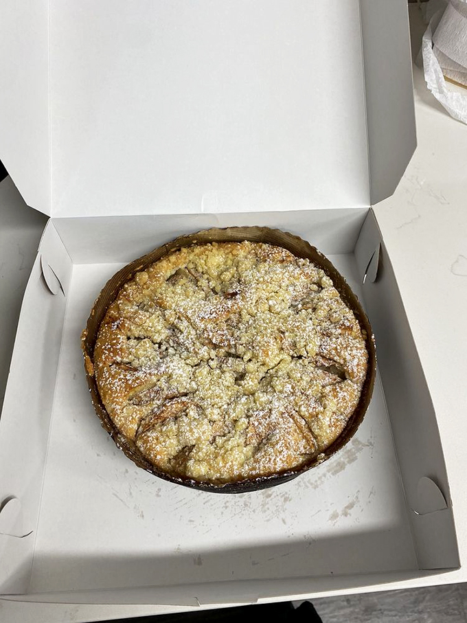 Apple crumble cake: a cozy slice of fall, no matter the season, with a perfect sugar dusting.