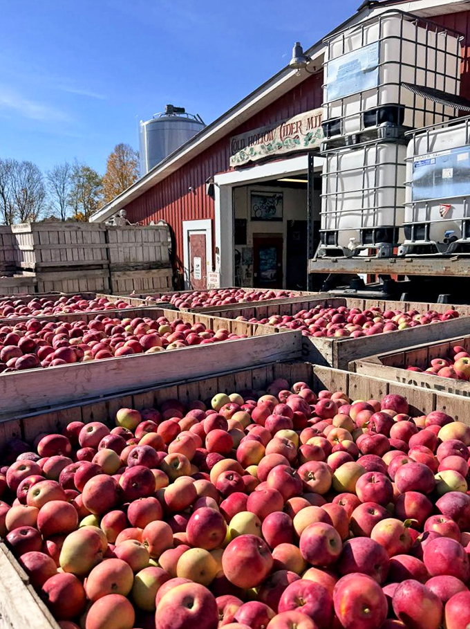 From these humble wooden crates of apples comes Cold Hollow's famous cider &ndash; proof that great ingredients make all the difference.