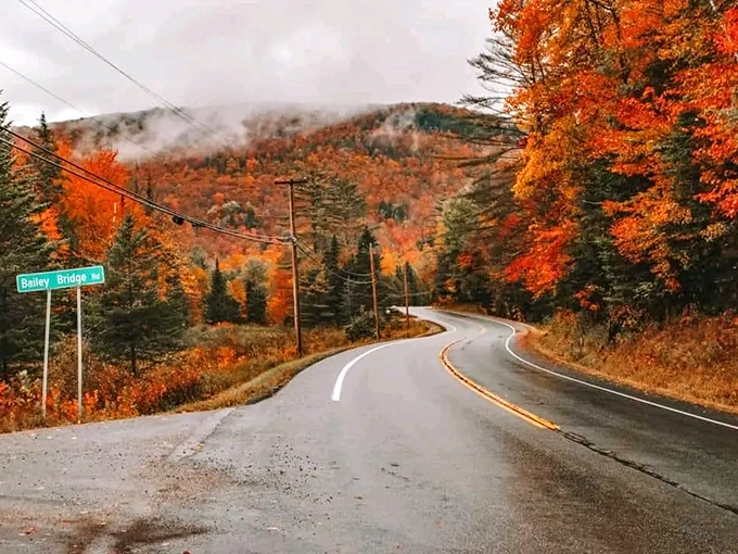 Bailey Road curves through a tunnel of maples and birches, nature's own cathedral ceiling of crimson and gold.