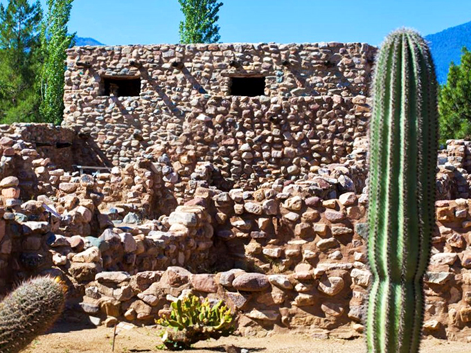 Saguaro cactus: nature's own skyscraper. These green giants are the doormen of the desert, standing tall and proud next to their rocky neighbors.