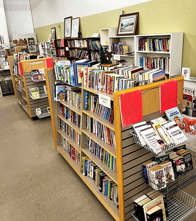 The book section &ndash; where dog-eared paperbacks and forgotten bestsellers wait for new readers to discover their stories.