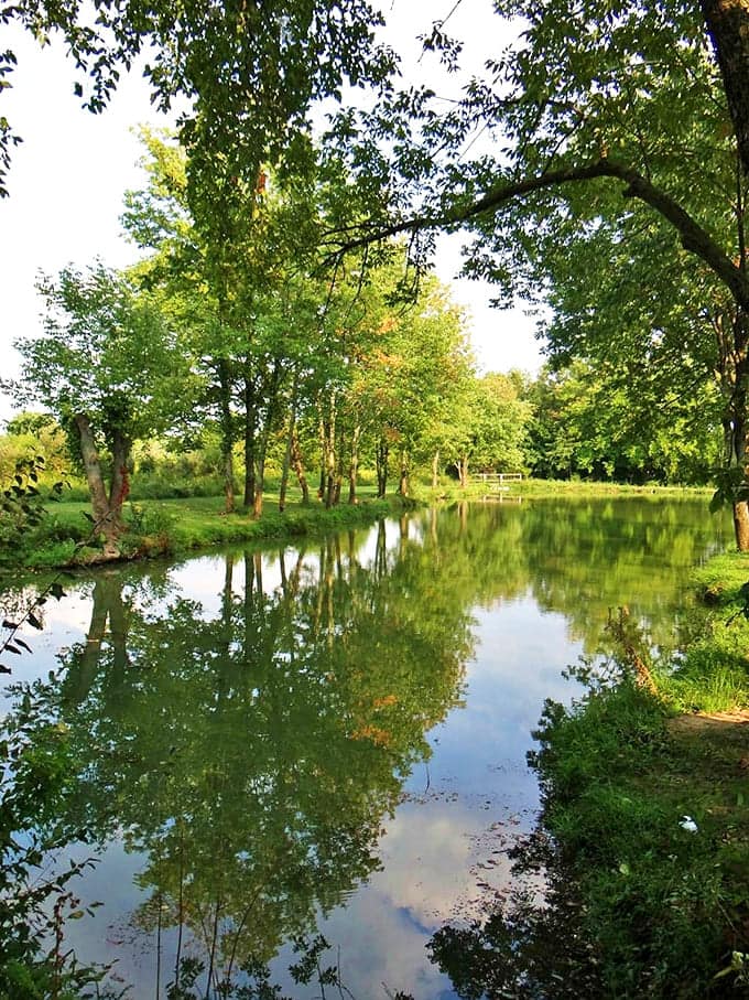 Caesar Creek Lake mirrors the sky so perfectly it's like nature's own Instagram filter. Trees admiring their reflection while providing shade&mdash;multitasking at its finest.