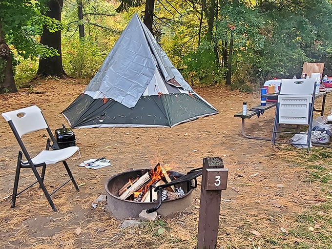 A simple campsite becomes home under the forest canopy, where the crackling fire and starry skies provide evening entertainment.