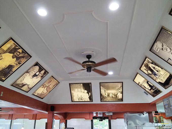Vintage ceiling fans spin lazily above historical photographs, creating an atmosphere where rushing seems inappropriate and savoring becomes mandatory.