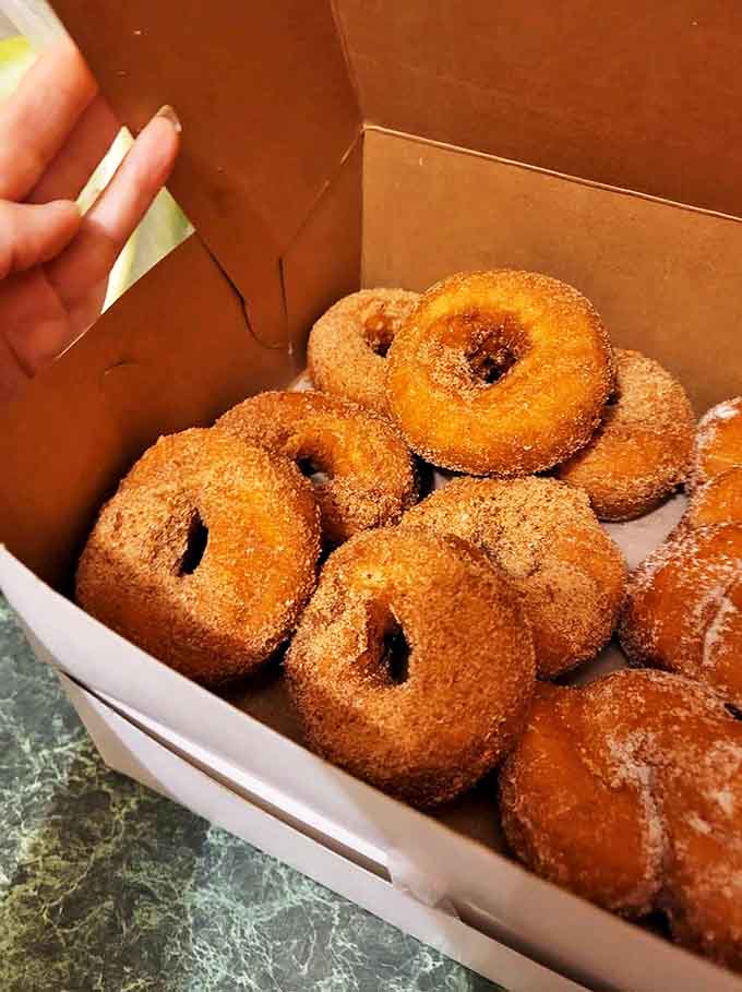 These cinnamon sugar donuts, nestled in their simple box, represent comfort food at its finest &ndash; no frills, just pure satisfaction.