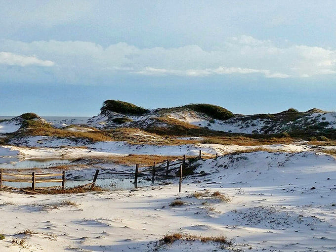 Wind-sculpted sand formations create a lunar-like landscape where coastal vegetation stubbornly claims territory.