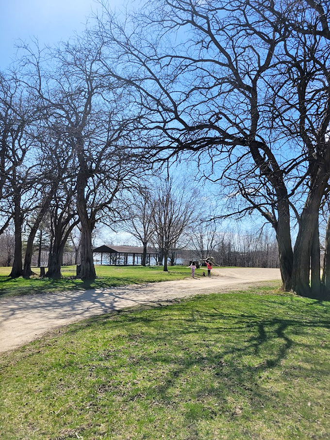 Spring brings new life to the park, where ancient trees stand guard over peaceful paths and picnic spots.