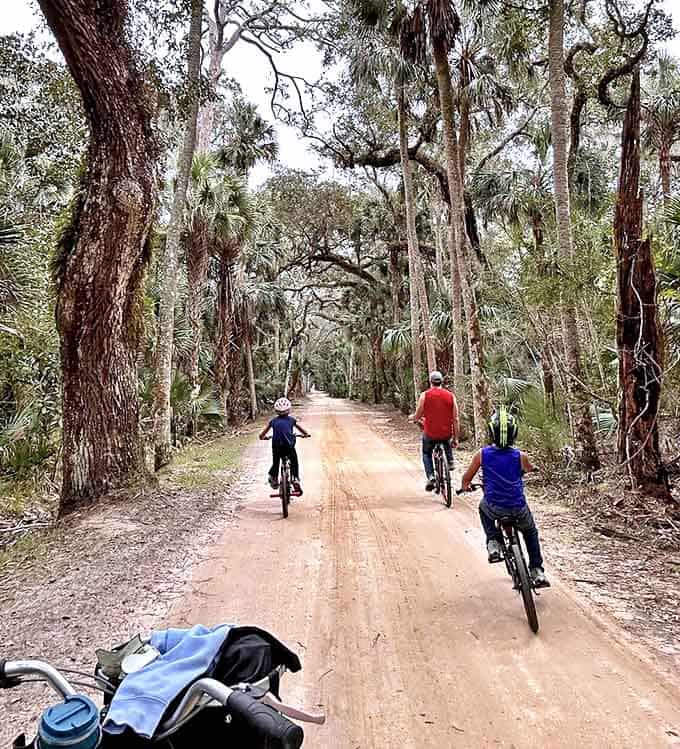 Families discover old Florida at their own pace, cycling beneath a canopy of ancient oaks.