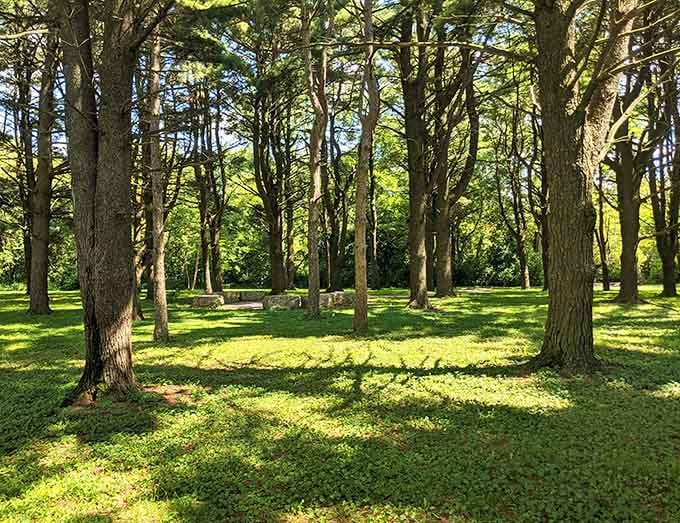 Prairie Park showcases native Illinois landscapes that once covered the region before agriculture transformed everything into cornfields.