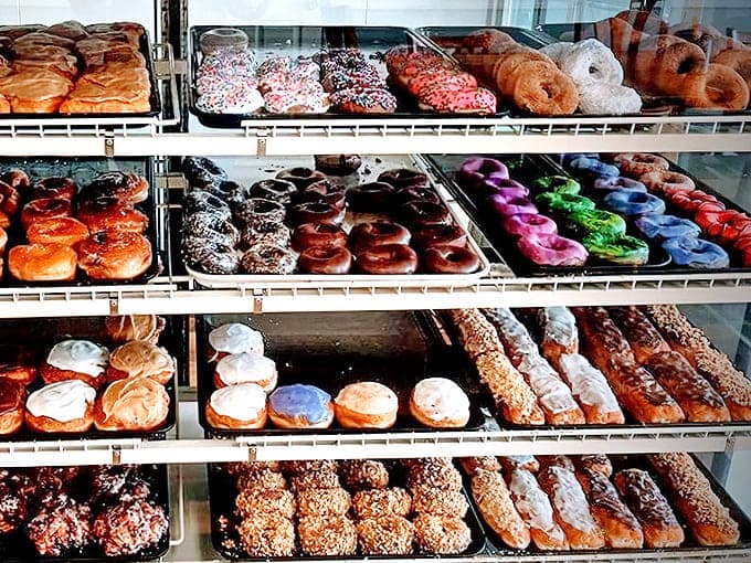 A rainbow of possibilities awaits behind glass &ndash; this donut display is the adult equivalent of a toy store window.