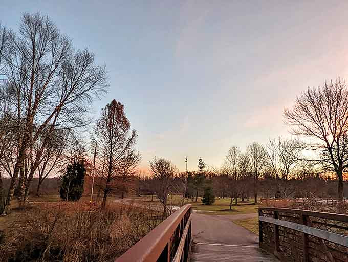 Winter's bare branches frame the path ahead, reminding us that beauty exists in every season if we're willing to look.