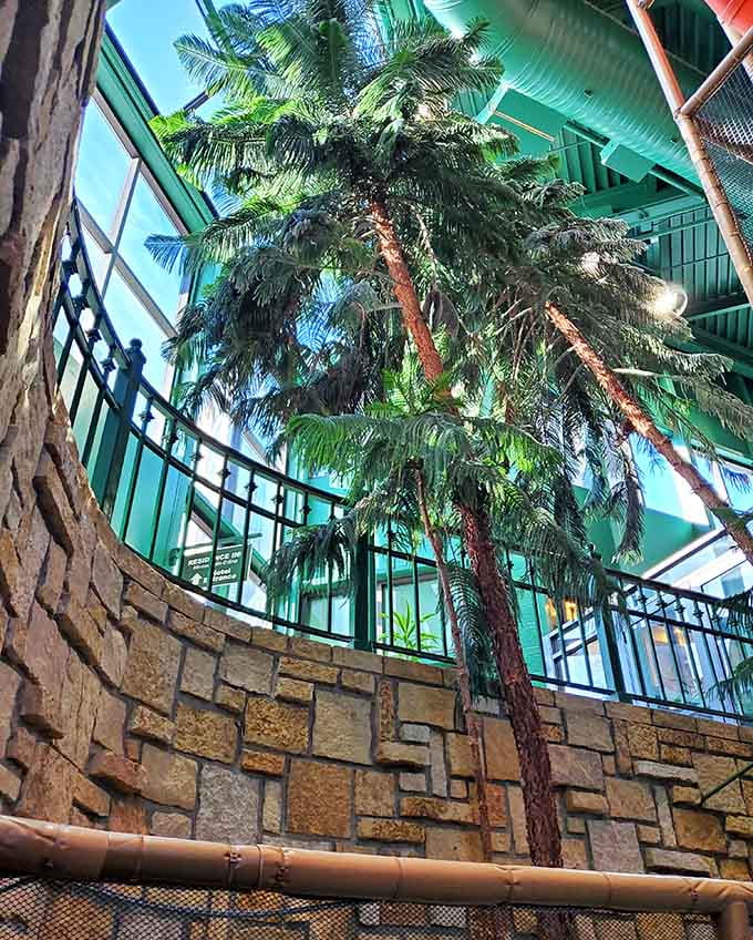 Real trees reach skyward inside the building, creating an atmosphere that confuses both visitors and probably the trees themselves.