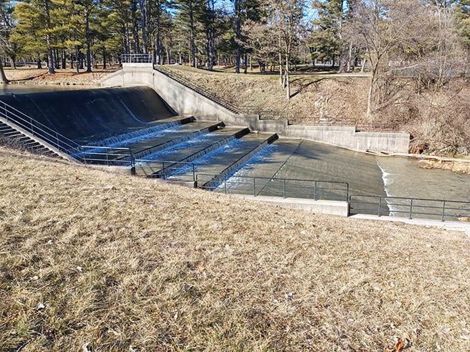 This dam might control water flow, but it can't contain the natural beauty that surrounds it in every direction you look.