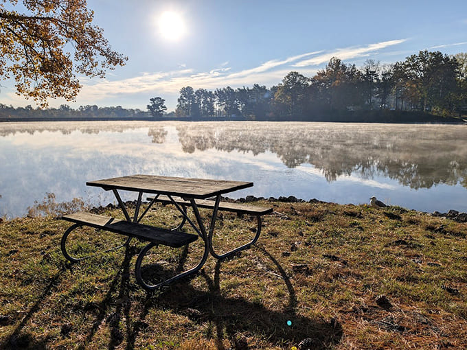 Picnic tables with million-dollar views that cost exactly zero dollars, which is the best kind of luxury if you ask anyone.