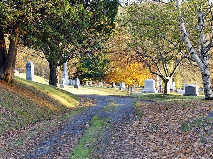 Cemetery paths wind through the grounds like nature's own meditation labyrinth, inviting wanderers to lose themselves in history and find themselves in reflection.