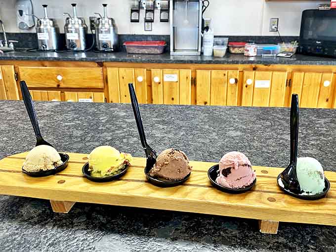Five perfect scoops lined up for tasting &ndash; a flavor journey from creamy vanilla to mint chip that tells the story of Michigan's seasons.