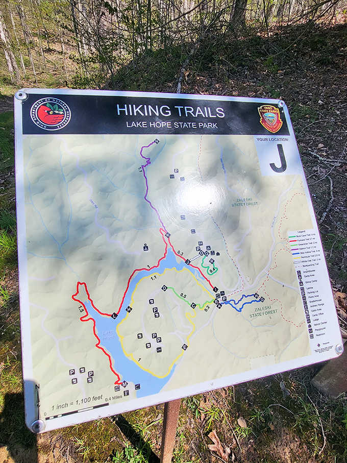 This colorful trail guide reveals Lake Hope's secrets &ndash; a treasure map where X marks spectacular views instead of buried gold.