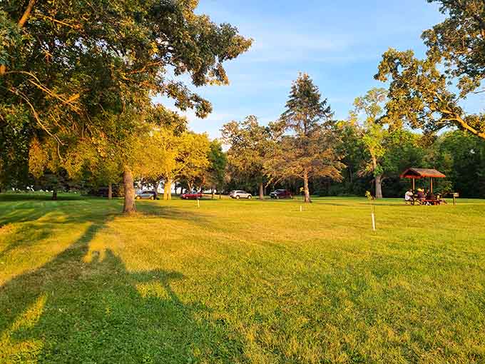 These trees frame the lake like nature's own picture window, proving that the best views don't require electricity or a monthly subscription fee.
