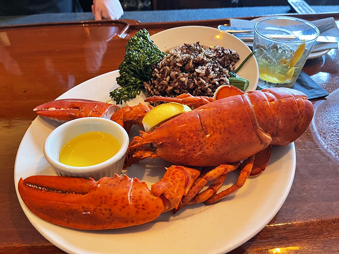 Red alert! This whole lobster is so impressive, it could star in its own blockbuster. 'The Claw and the Curious', anyone?